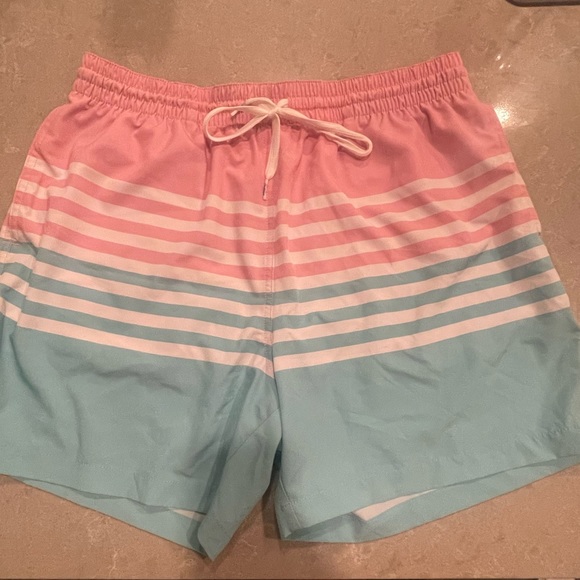 chubbies | Swim | Chubbies Swimsuit | Poshmark